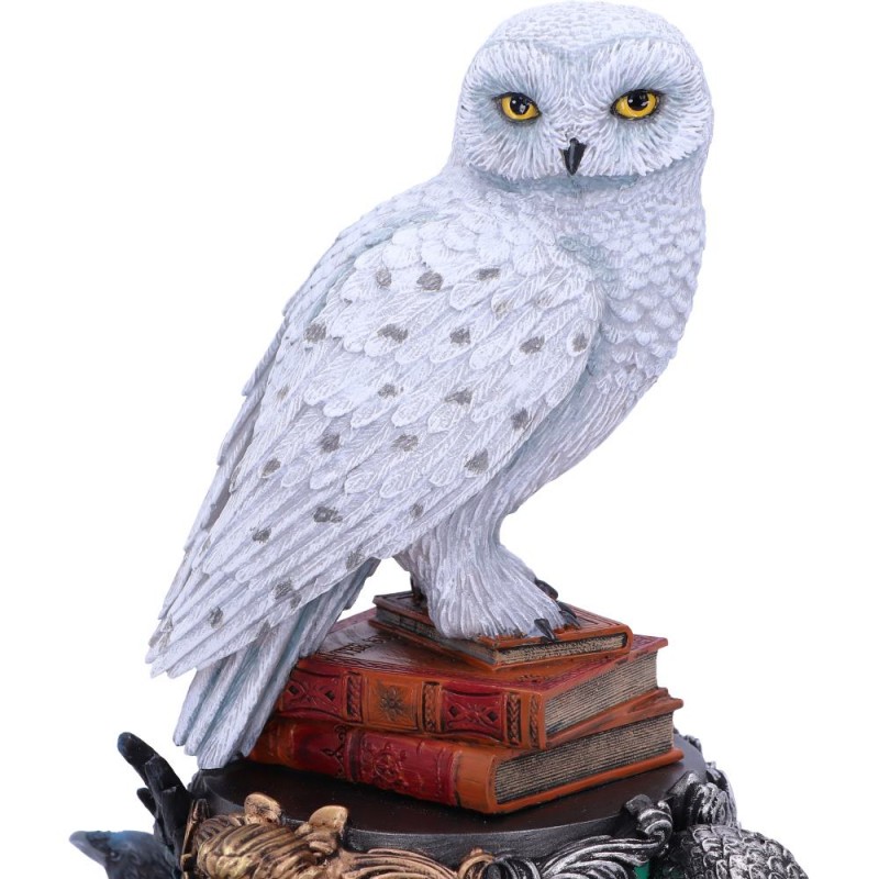BUY HARRY POTTER HEDWIG STATUE RESIN FIGURE NEMESIS NOW