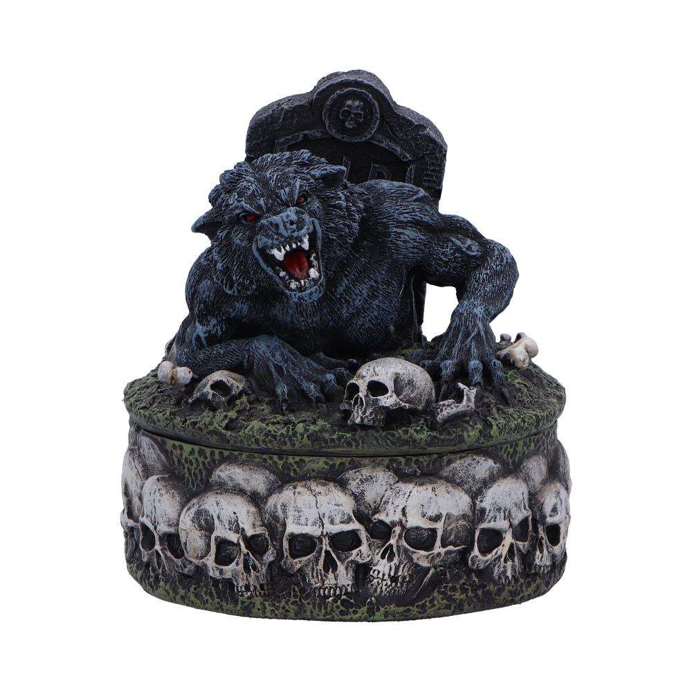 NEMESIS NOW TREASURES OF THE LYCAN DARK WEREWOLF BOX STATUA FIGURE