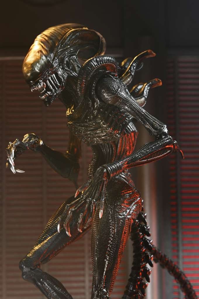 BUY ALIEN ROMULUS SCORCHED XENOMORPH ACTION FIGURE NECA